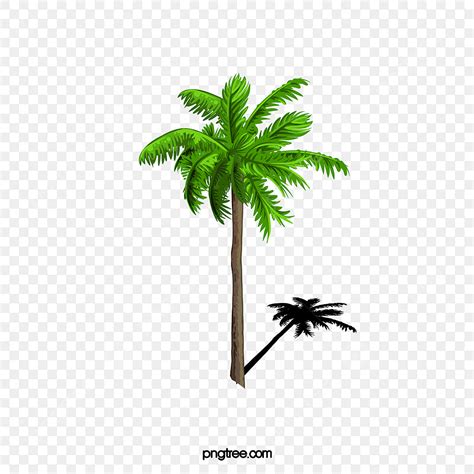شجرة النخيل 3d شجرة النخيل مرسومة باليد الأشجار Png وملف Psd للتحميل مجانا