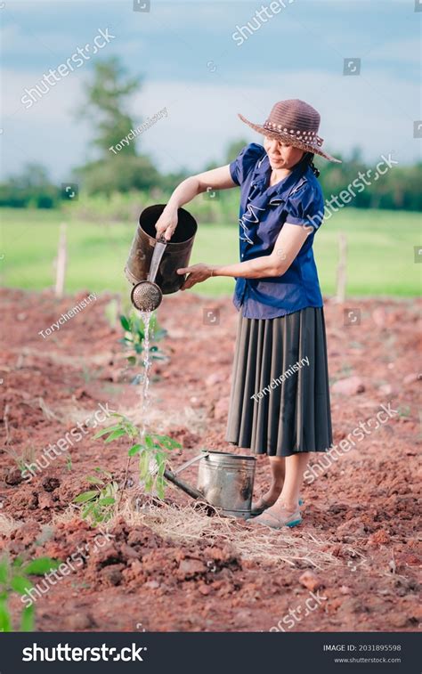 Women Watering Tree On Ground Organic Stock Photo Shutterstock