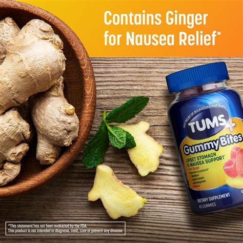 Tums Plus Upset Stomach And Nausea Support Dietary Supplement Ginger