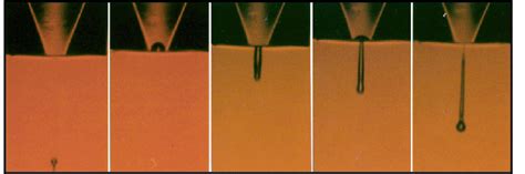 Drop Formation Sequence With Synchronized Lighting 50µm Drops Of