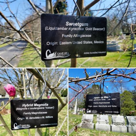 How To Attach A Tree Tag National Band And Tag Company