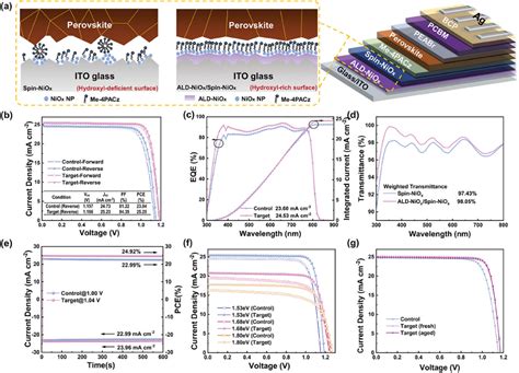 我院胡芸菲副教授和尤朋副教授最新afm：niox薄膜表面羟基化增强自组装单分子层锚定，用于高效稳定钙钛矿太阳能电池 深圳技术大学 新材料与新能源