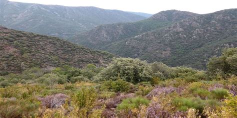 5 Amazing Types Of Clustering Methods You Should Know Datanovia