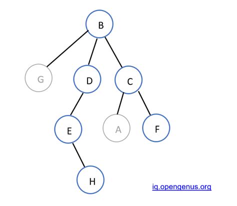Diameter Of N Ary Tree Using Dynamic Programming