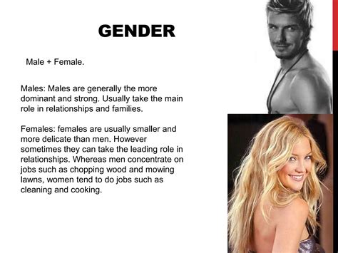 Binary Opposites Ppt
