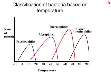 Ppt Bacterial Growth And Nutrition Powerpoint Presentation Free Download Id 6778511