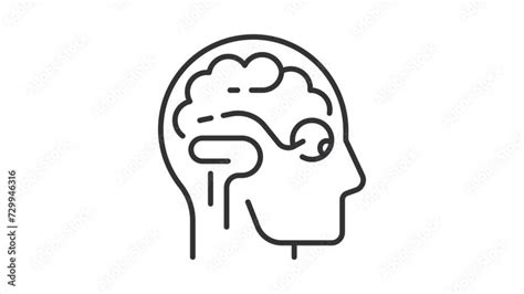 Brain Processing Line Animation Perception Eye Animated Icon Information Processing Cognitive