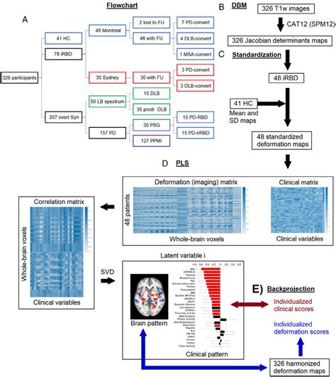 Flowchart And Summary Of The Analysis Steps A A Flowchart Of The