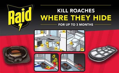 Raid Double Control Large Roach Baits 8 Count Pack Of 1