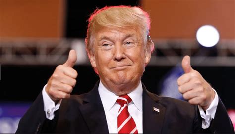 La Victoria De Trump Impulsó Las Compras De Etfs De Renta Variable Finect