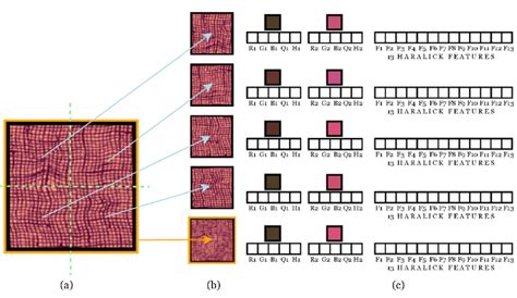 Feature Vector Extracted From One Image From The Brodatz Database A Download Scientific