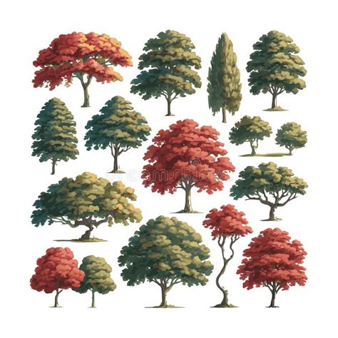 Seasonal Tree Variations Vector Nature S Diversity In Growth And