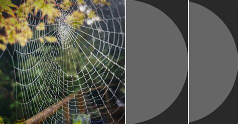 List Typescript Curated By Jonathan Hector Medium