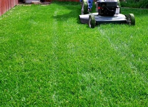 How To Level A Yard In 7 Simple Steps Bob Vila