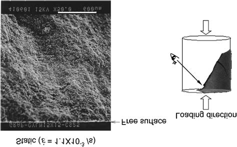 Scanning Electron Micrograph Of Failure Mode In Static Compression Download Scientific Diagram