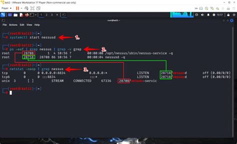 Nessus Lesson 5 Scan With Nessus On Kali
