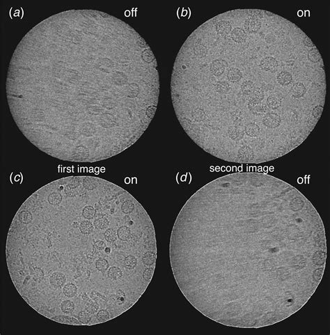 Single Particle Electron Cryomicroscopy Trends Issues And Future Perspective Quarterly