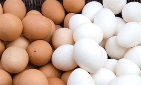 බිත්තරයක මිල රුපියල් 75 ක් දක්වා ඉහළ යයි