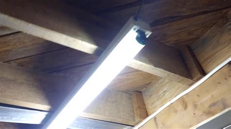 New Fluorescent Lighting In Basement YouTube