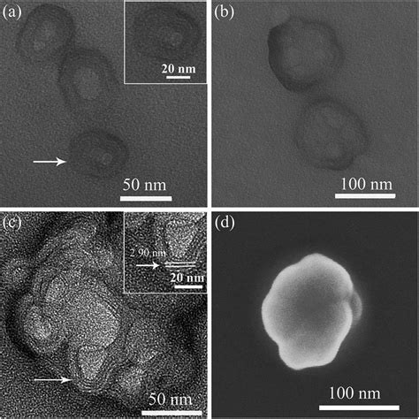 Multicompartment Like Aggregates Formed By A Redox Responsive Surfactant Encapsulated