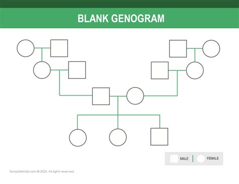 9 Free Blank Genogram Templates [word G Doc And Pdf Format]