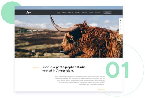Best Weebly Templates