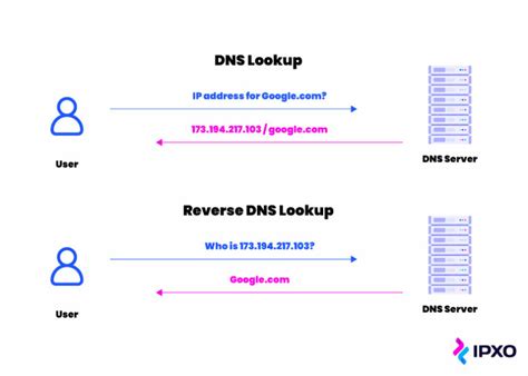 What Is Reverse Dns And What Does It Do Ipxo