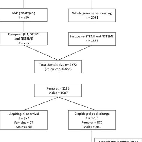 Study Flow Flowchart Of Study Participants In The Cohort