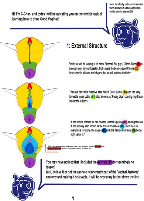 Rule 34 Absurd Res Alexis Crossman Anatomically Correct Anatomically Correct Genitalia