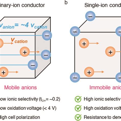 Binary Ion Conductor And Single Ion Conductor Schematic Illustration Download Scientific