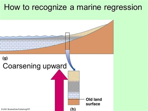 marine transgression and regression geology in