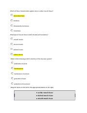3 1 MasteringA P Lab Module Three Homework Docx Which Of These
