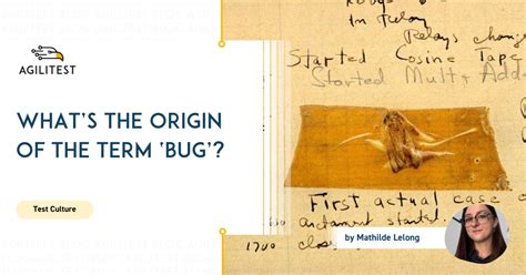 Grace Hopper Bug