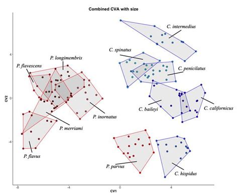 Distinguishing Species With Geometric Morphometrics Uo Vertebrate