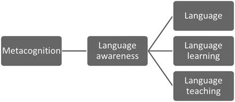 1 Metacognition In Relation To Language Awareness And Its Subdomains Download Scientific Diagram