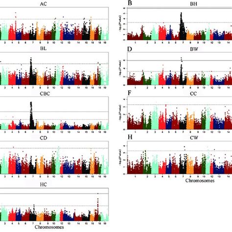 Junwu Ma Jiangxi Agricultural University Jiangxi Key Laboratory