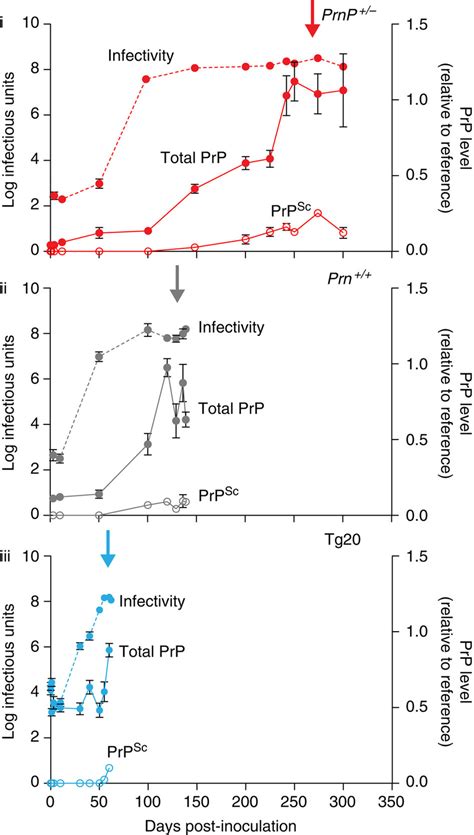 Levels Of Total Prp And Prpsc In The Brain During Prion Infection Download Scientific Diagram