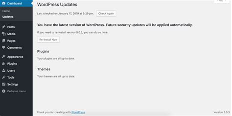 Cómo Actualizar Wordpress Ionos México