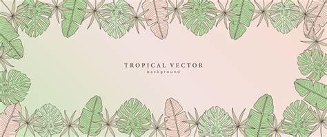 초록색과 옅은 분홍색 야자수 잎 몬세트라 잎이 있는 사진이나 텍스트에 대한 벡터 열대 배경 엽서 표지 명함 및 프리젠테이션의 배경 0명에 대한 스톡 벡터 아트 및 기타