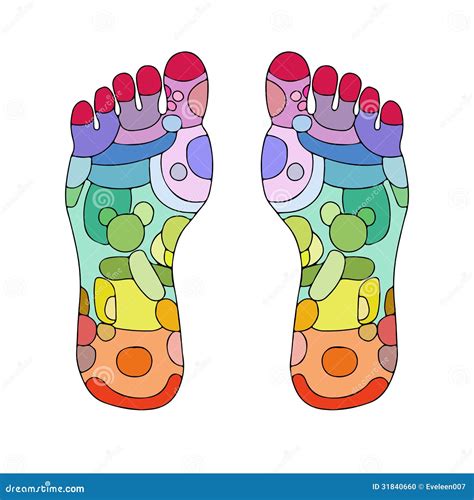 Reflexology Foot Massage Points Stock Vector Illustration Of Finger Masseur 31840660