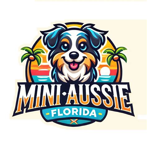 Mini Aussie Florida Miniature American Shepherd Puppies