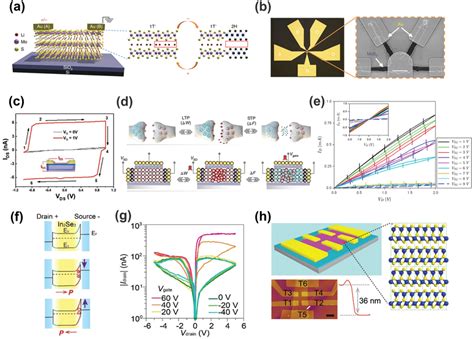 A Schematic Illustration Of Modulated Li⁺ Ion Migration Causing Local