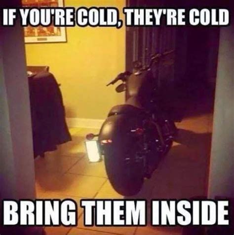 If Youre Cold Theyre Cold Bring Them Inside Best Of Funny Memes