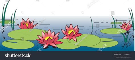Water Lilies Border Vector Illustration Stock Vector Royalty Free