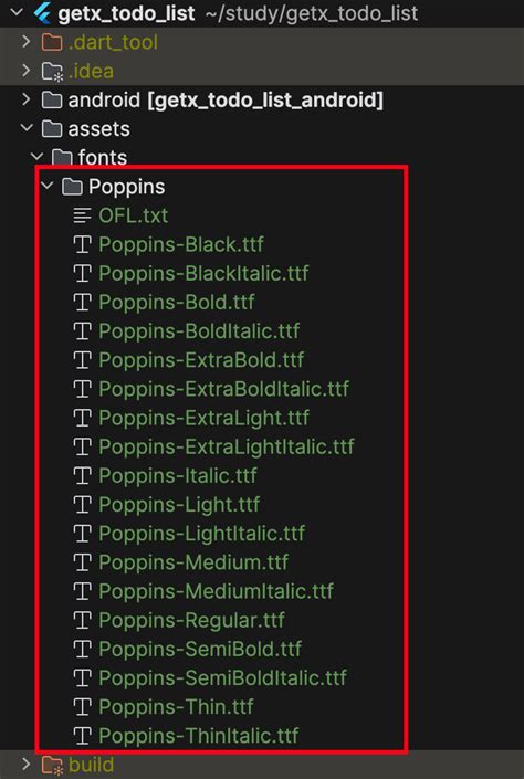 Flutter 中如何自定义字体 付小晨