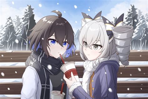 Seele And Bronya R Houkai Rd