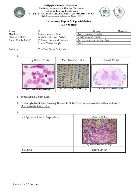 Bsci E Bio Iii 22 Group 3 Laboratory Report 2 Squash Method