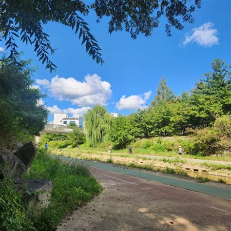 🦜ai 윤리 레터