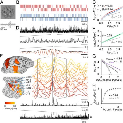 Paradigm For Mapping Individual Behavioral And Neuronal Scaling Laws Download Scientific