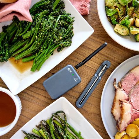 thermoworks rfx™ wireless probe thermometer starter kit meadow creek barbecue supply